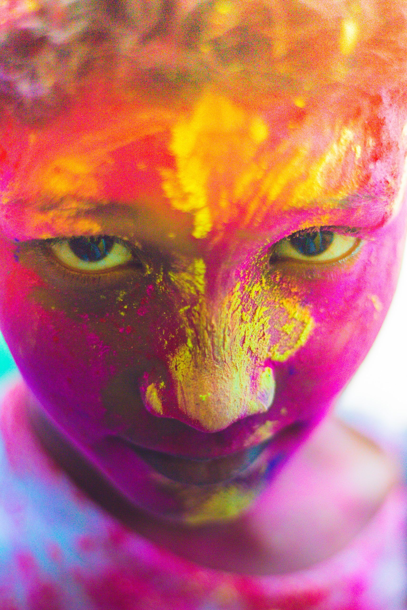 Indian Holi Color Festival: People Covered in Vibrant Powder ...